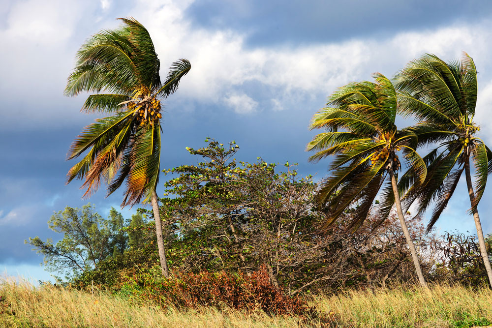 3 Types of Roofing Materials That Will Survive the Strong Winds | Blog
