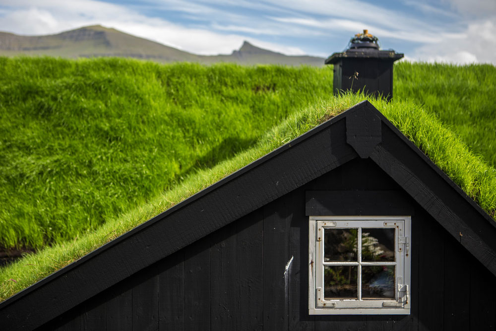5 of the Most Eco-Friendly Options for a New Roof | Bayfront Roofing